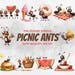 Watercolor Picnic Ants Clipart Bundle: Summer Insect PNG Graphics ...