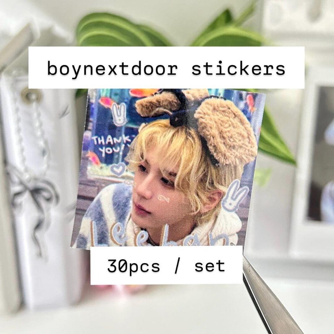 BOYNEXTDOOR Stickers , Kpop Mailing Sticker - Etsy Australia