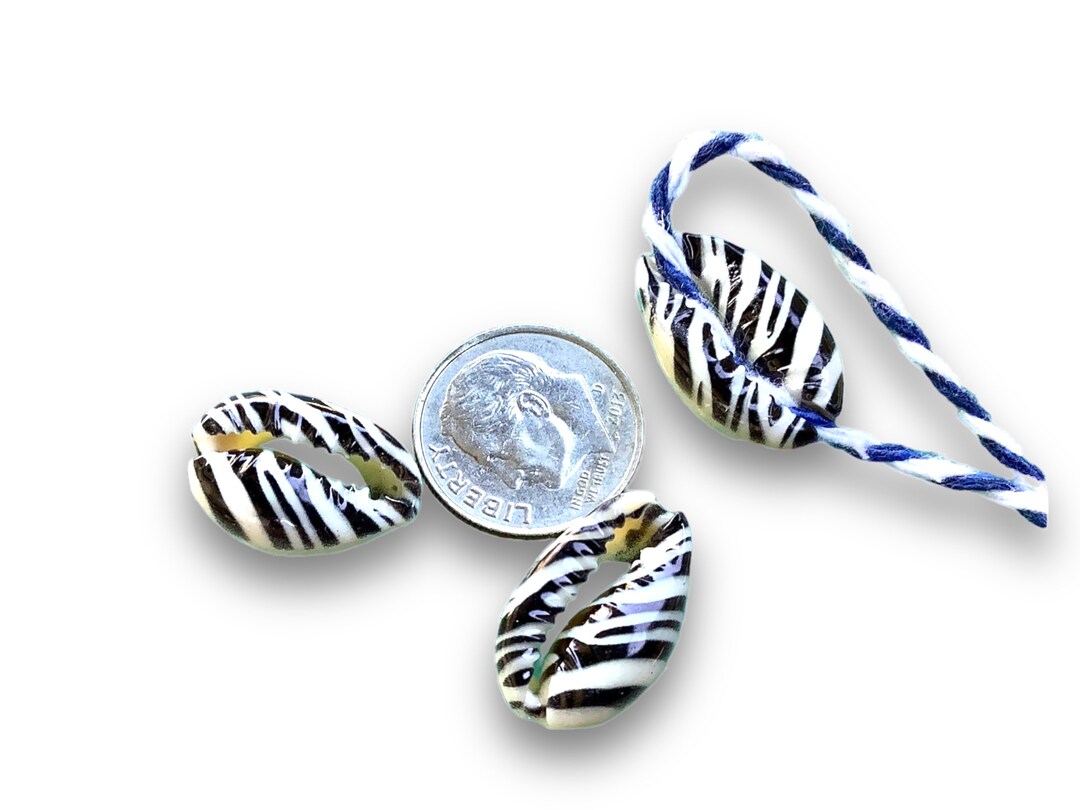 3 Zebra Striped Cowrie Shell Beads, Hand Painted Cowries, 10mm X 20mm ...