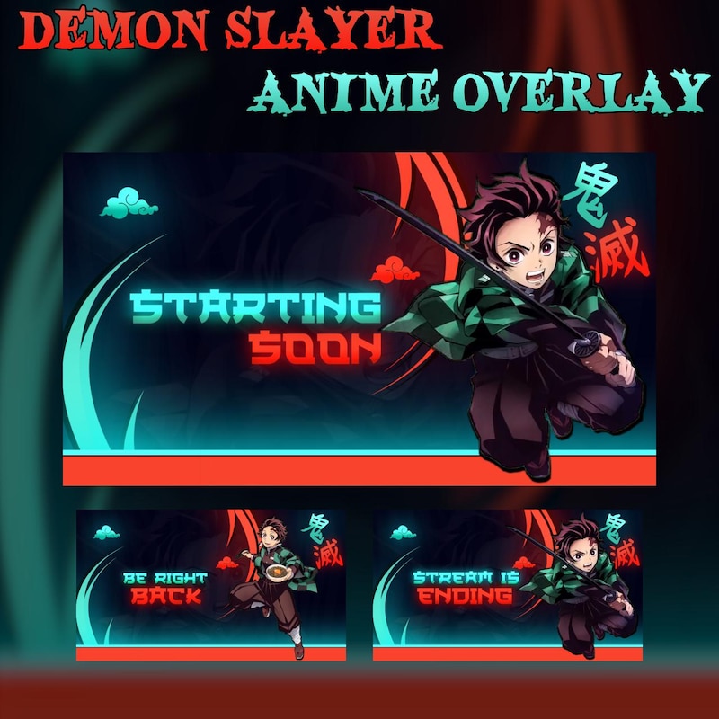 Demon Slayer Panels Manga - Etsy