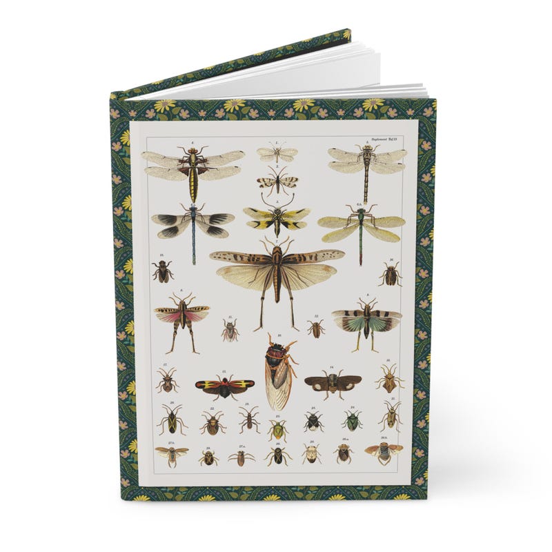 Insect Note Book - Etsy UK