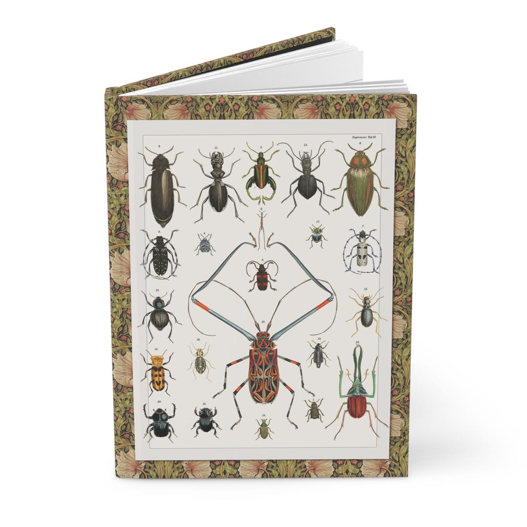 Insect Illustrated Hard Backed Journal | Vintage Bug Notebook, Nature ...