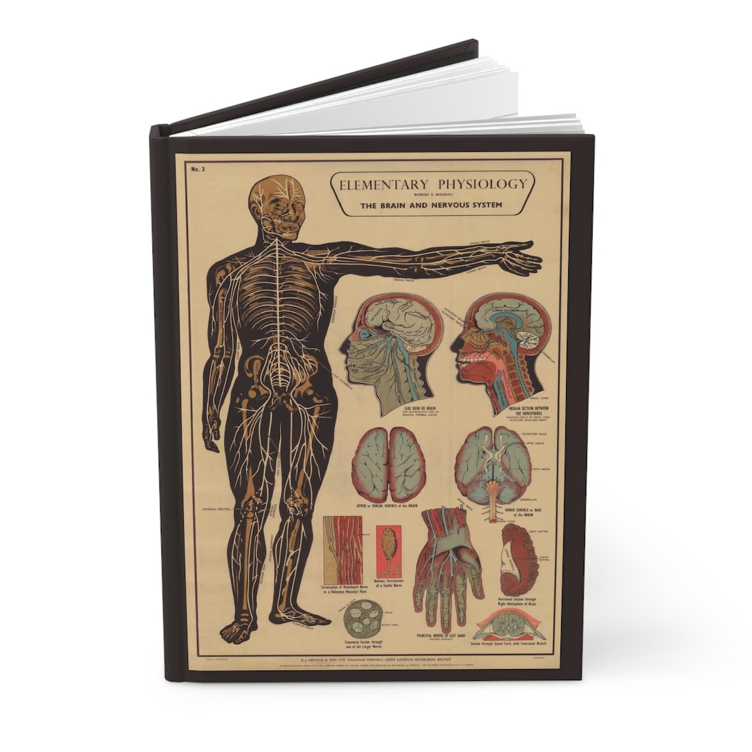 Anatomy Brain & Nervous System Journal Matte: Medical Student Notebook ...
