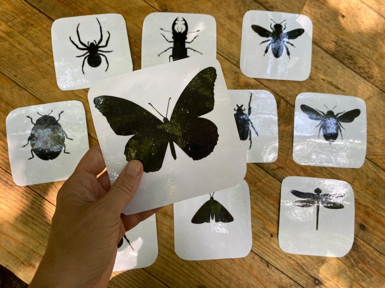 3D Insects Insect Shadow Flashcards Insect Outline Play and - Etsy