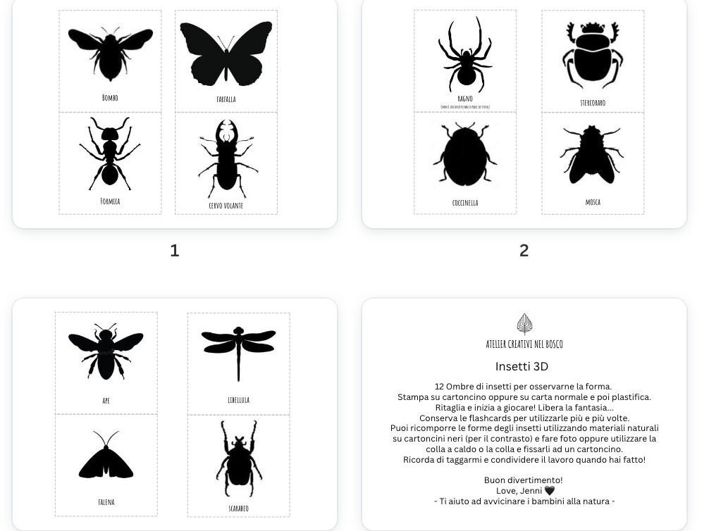 3D Insects, Insect Shadow Flashcards, Insect Outline, Play and Learn ...