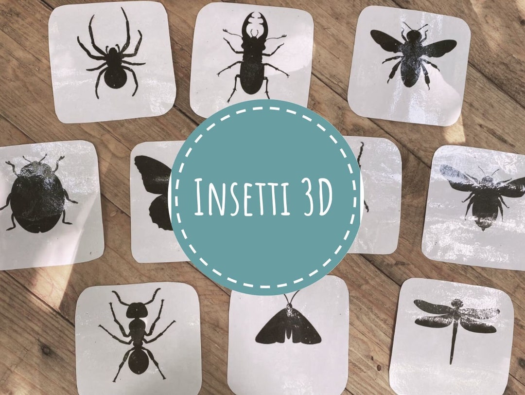 3D Insects, Insect Shadow Flashcards, Insect Outline, Play and Learn ...