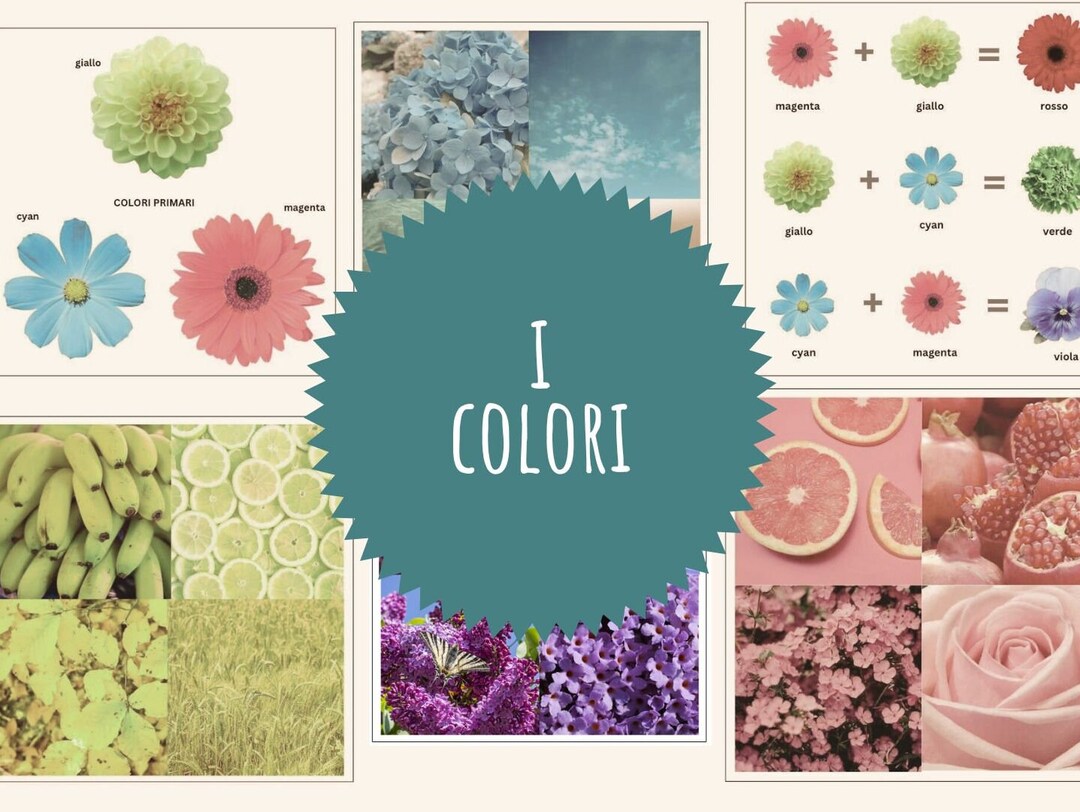 Study of Colors, Activities on Primary and Secondary Colors, Color ...