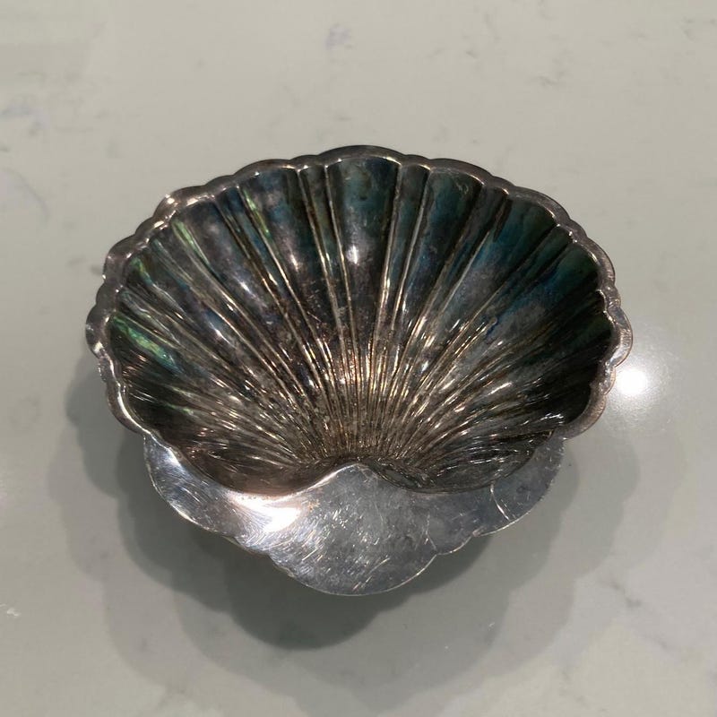 Shell Soap Dish - Etsy