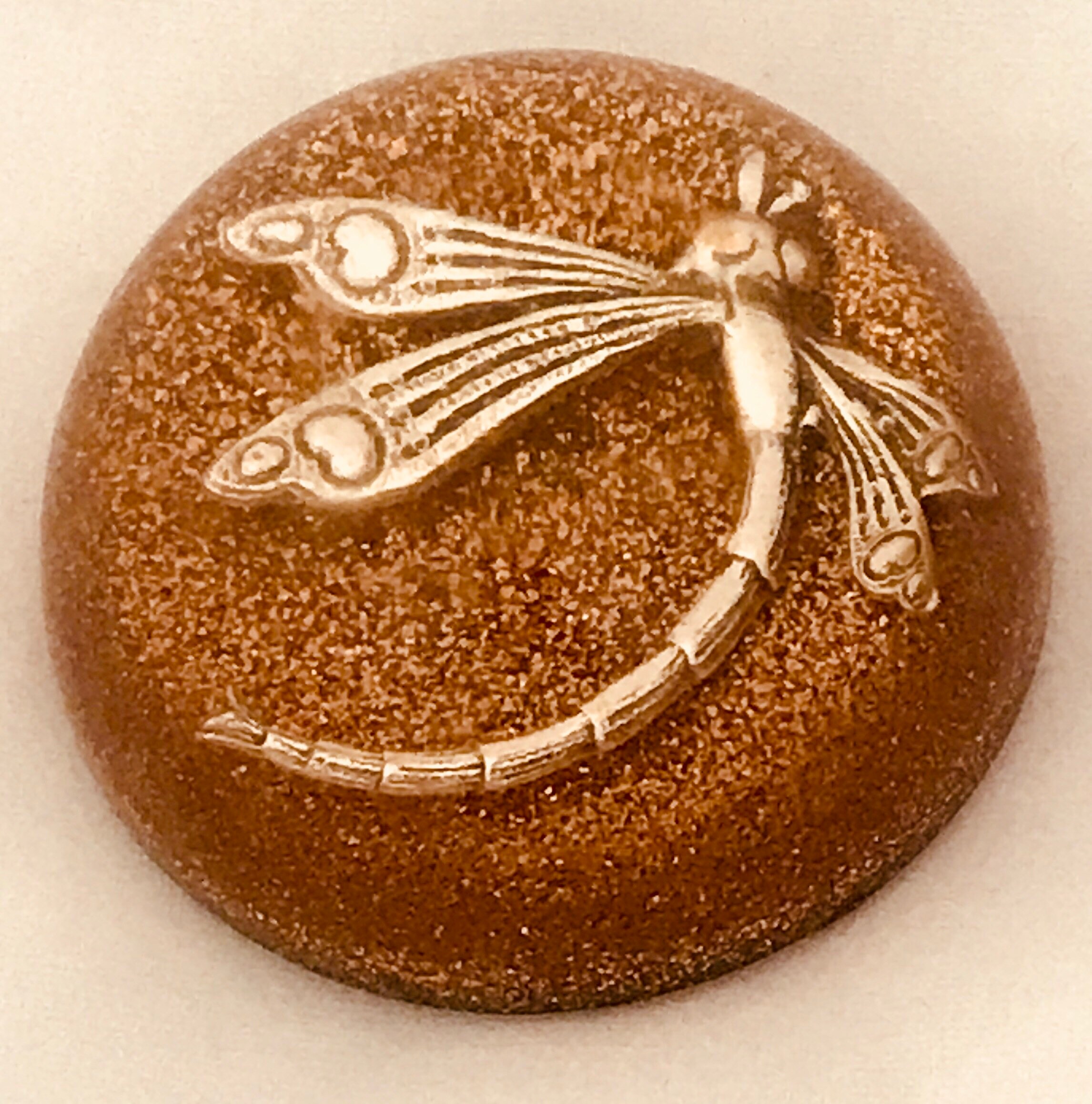 Dragonfly in Amber-Dragonfly Paperweight- Resin Paperweight-Outlander ...