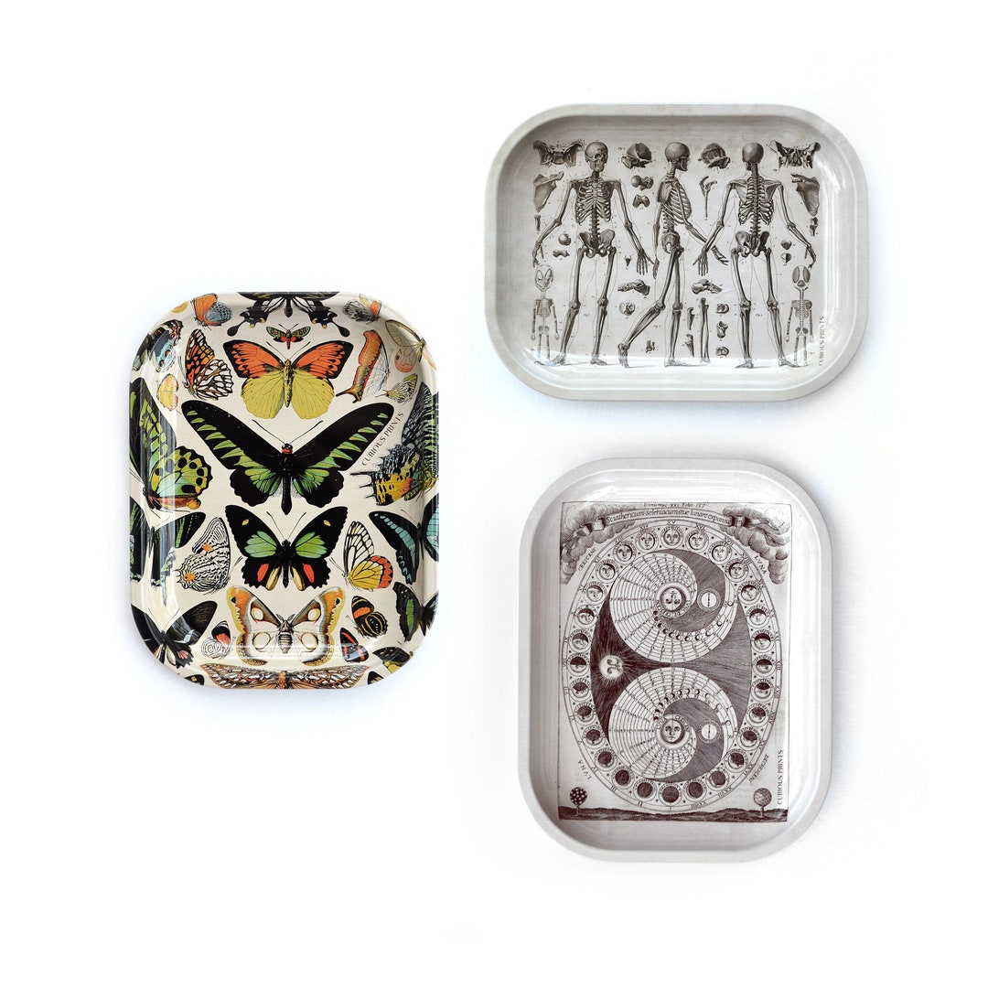 Small Metal Ritual Tray / Butterflies Moon Skeleton Palmistry Cannabis ...