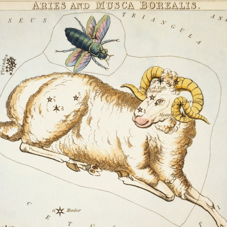 Vintage Aries Zodiac Astrology Sign Print From Urania’s Mirror Star ...