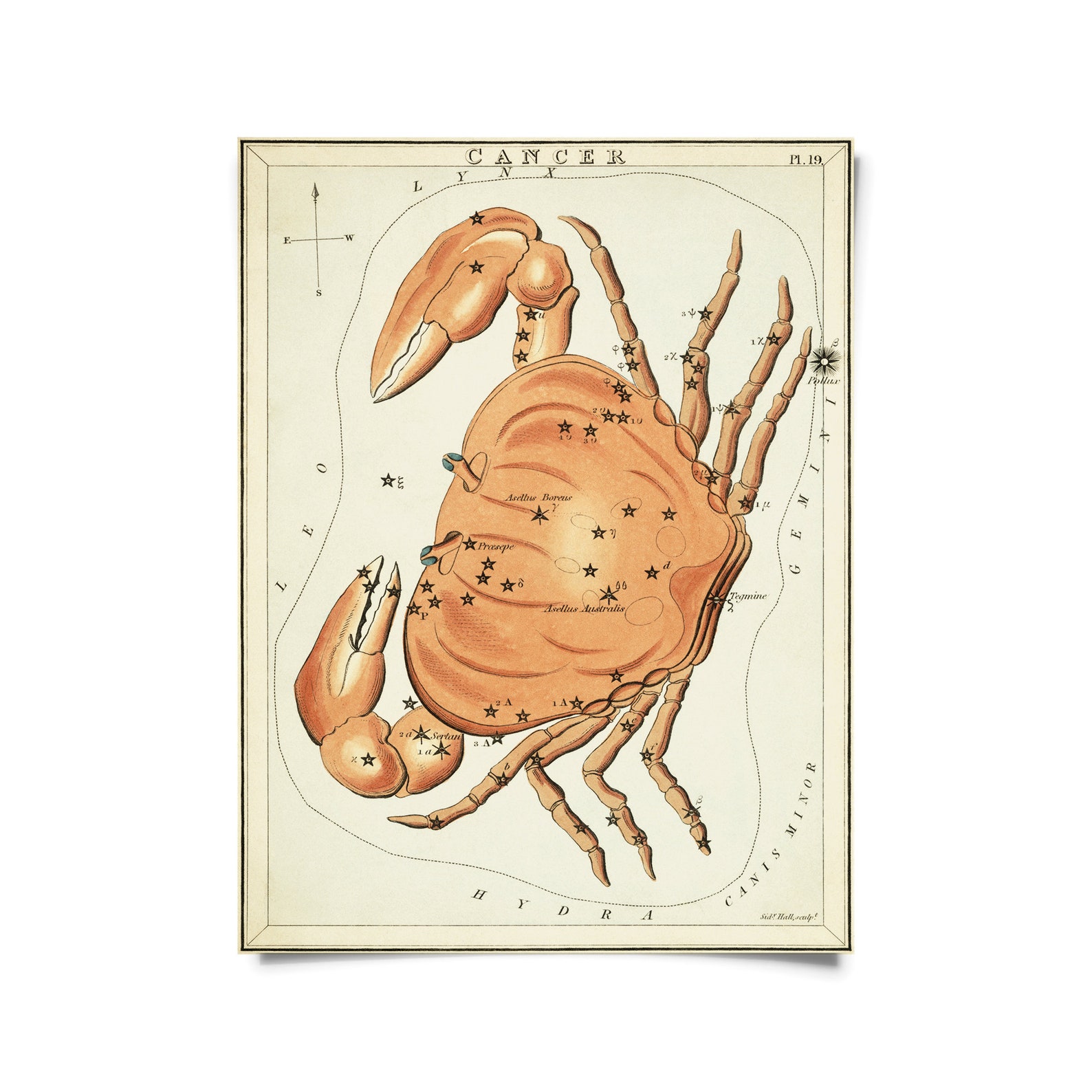 Vintage Cancer Zodiac Astrology Sign Print From Uranias - Etsy