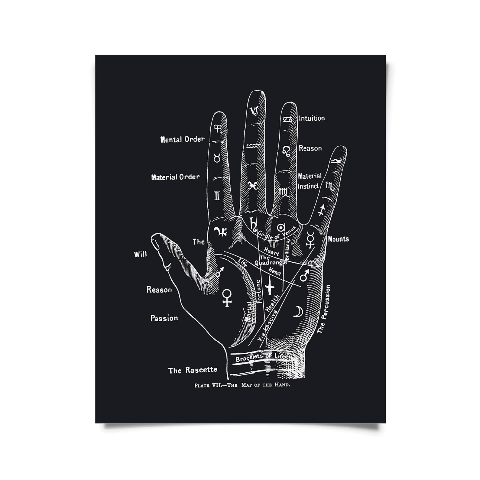 Vintage Palmistry Fortune Teller Print W/ Optional Magnetic - Etsy