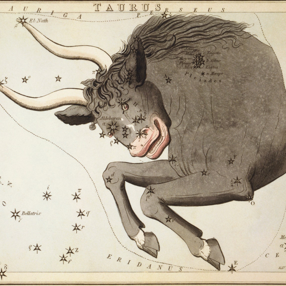 Vintage Taurus Zodiac Astrology Sign Print From Uranias - Etsy