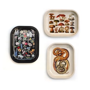 Small Metal Botanical Dandelion Trinket Tray / Vintage Print / Ritual ...