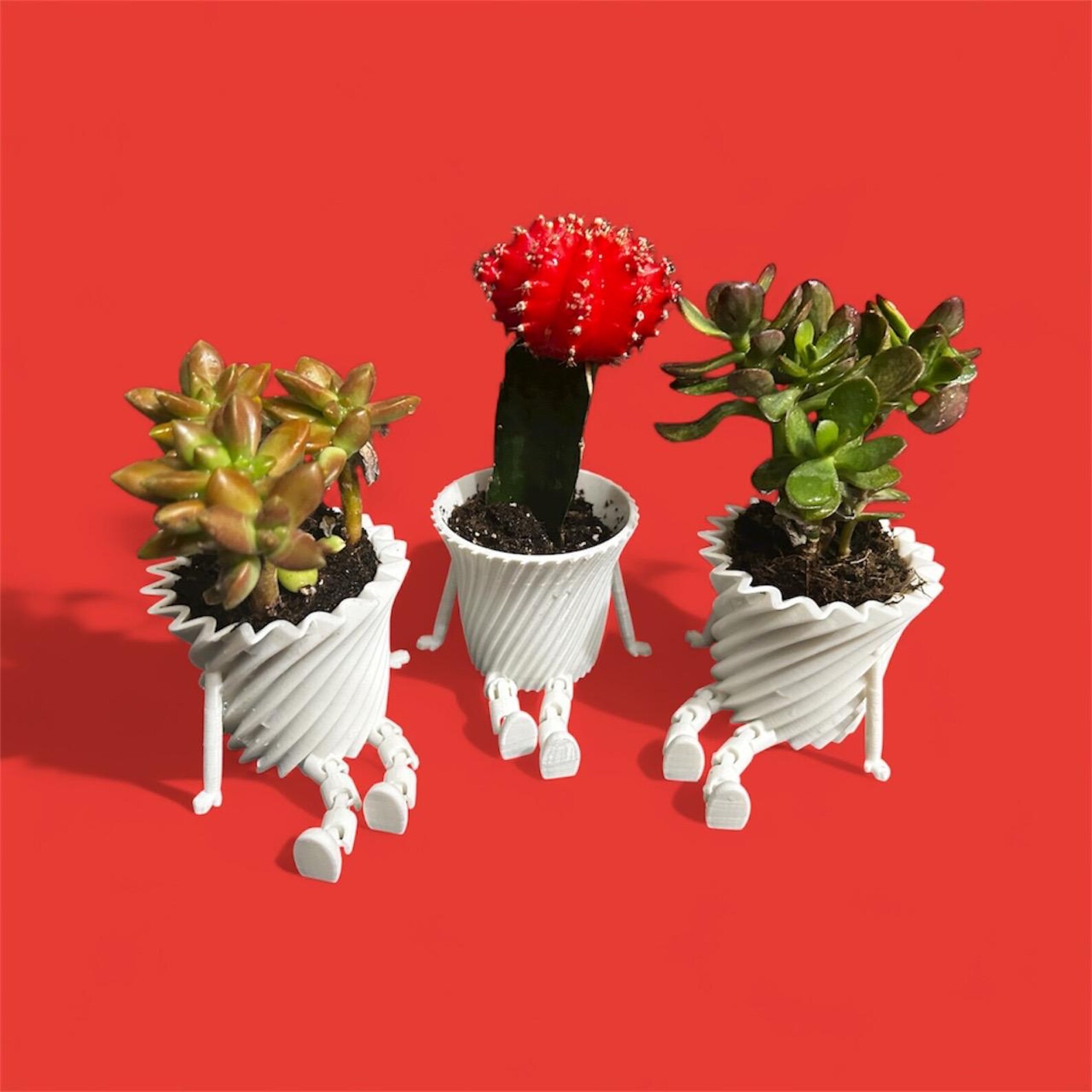 3D Printed Succulent Planter With Articulating Legs – Desk & Shelf ...