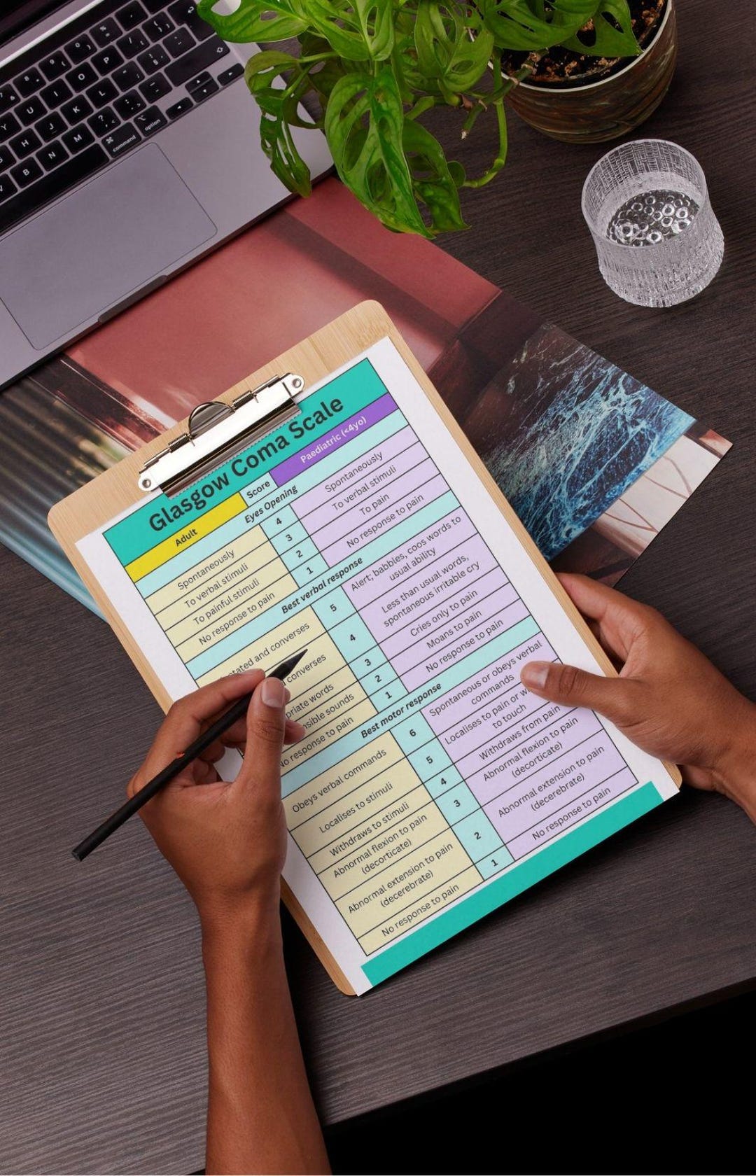 Paramedic, Nursing, EMT Study Note for Glasgow Coma Scale (GCS) (test ...