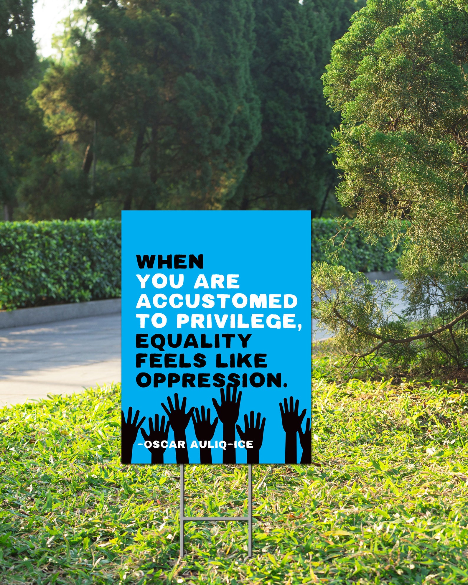 RACIAL EQUALITY POSTER Educational Poster White Privilege - Etsy