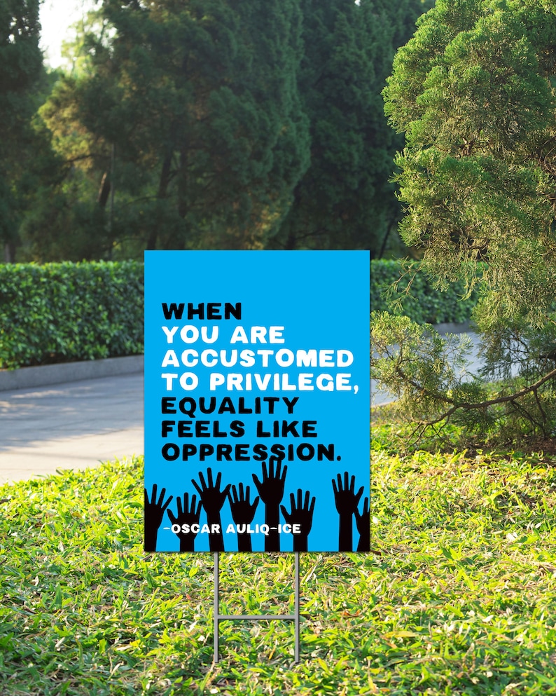 RACIAL EQUALITY POSTER Educational Poster White Privilege - Etsy