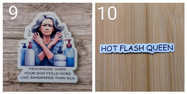 Funny Menopause Stickers | Sarcastic Vinyl Stickers for Hot Flashes ...
