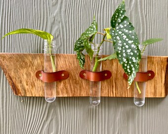 Live Edge Planter - Etsy