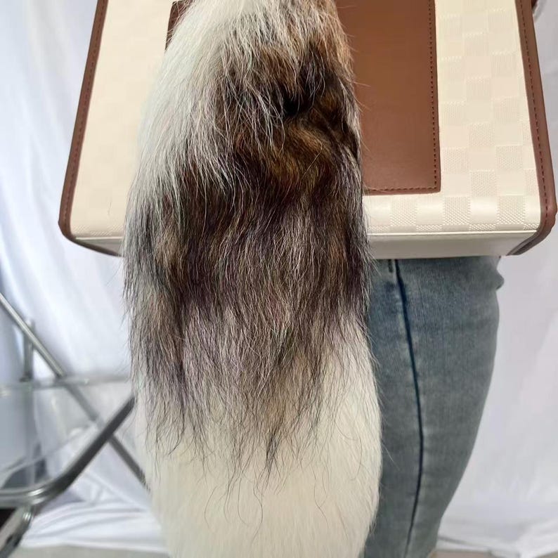 17” Big Red Fox Tails Therian Tails Ethical Taxidermy Tail Cosplay ...