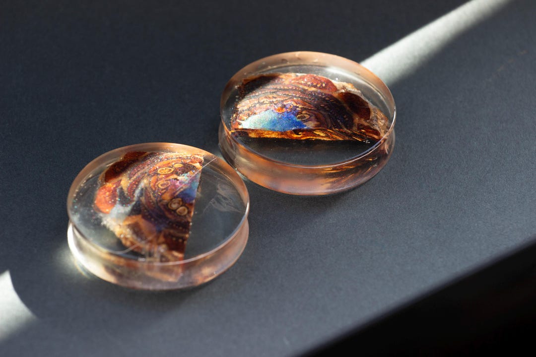 50MM (2") Plugs - Epoxy Resin - Raw Edge Wood Inlay - Stretched Ears ...