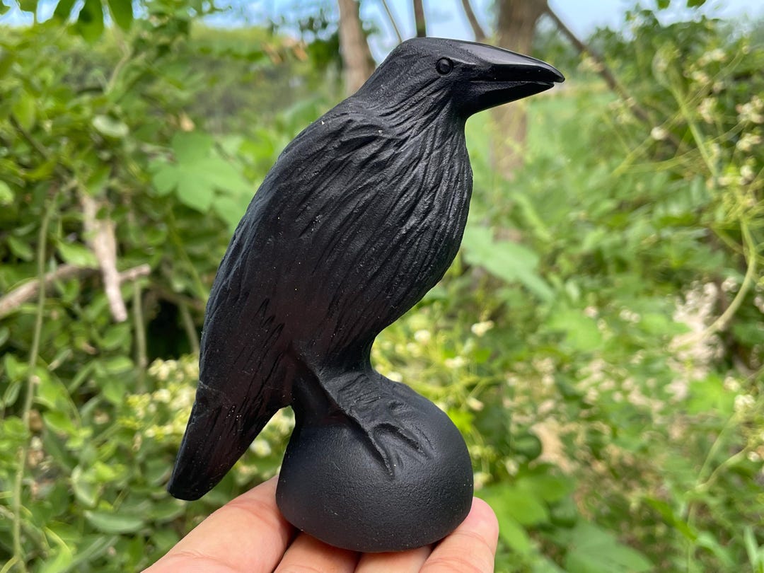Obsidian Bird Skull: Hand Carved Crystal Crow - Eagle Healing Stone - Etsy