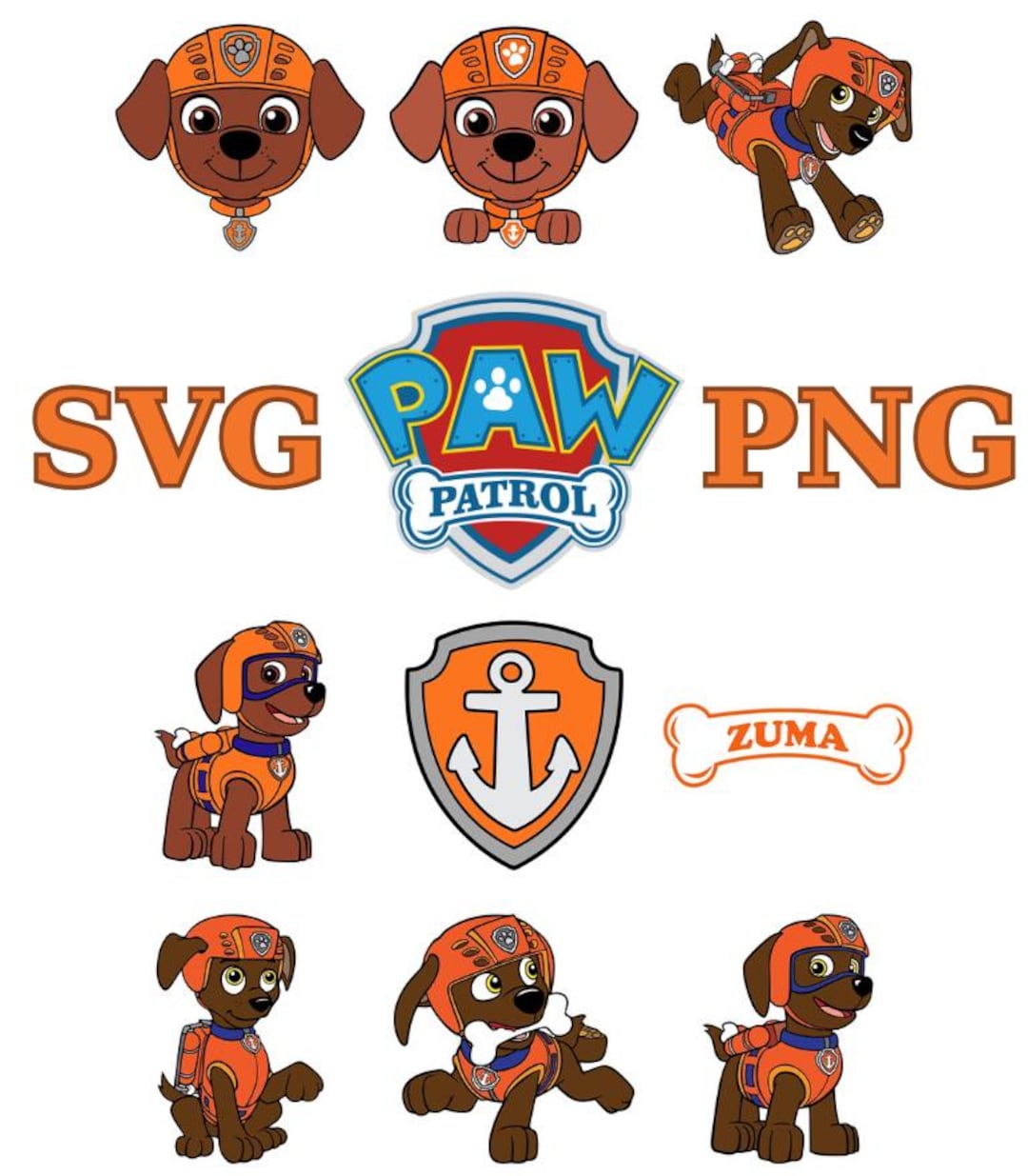 Paw Patrol Zuma Digital Files- Paw Patrol Zuma Digital Prints- Cartoon ...