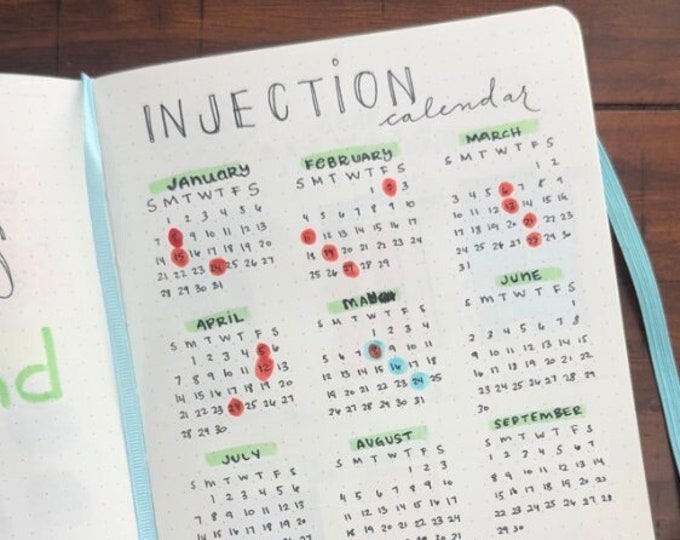 NEW: 6-month Hand-drawn Glp-1/health Tracking Bullet Journal Starter - Etsy