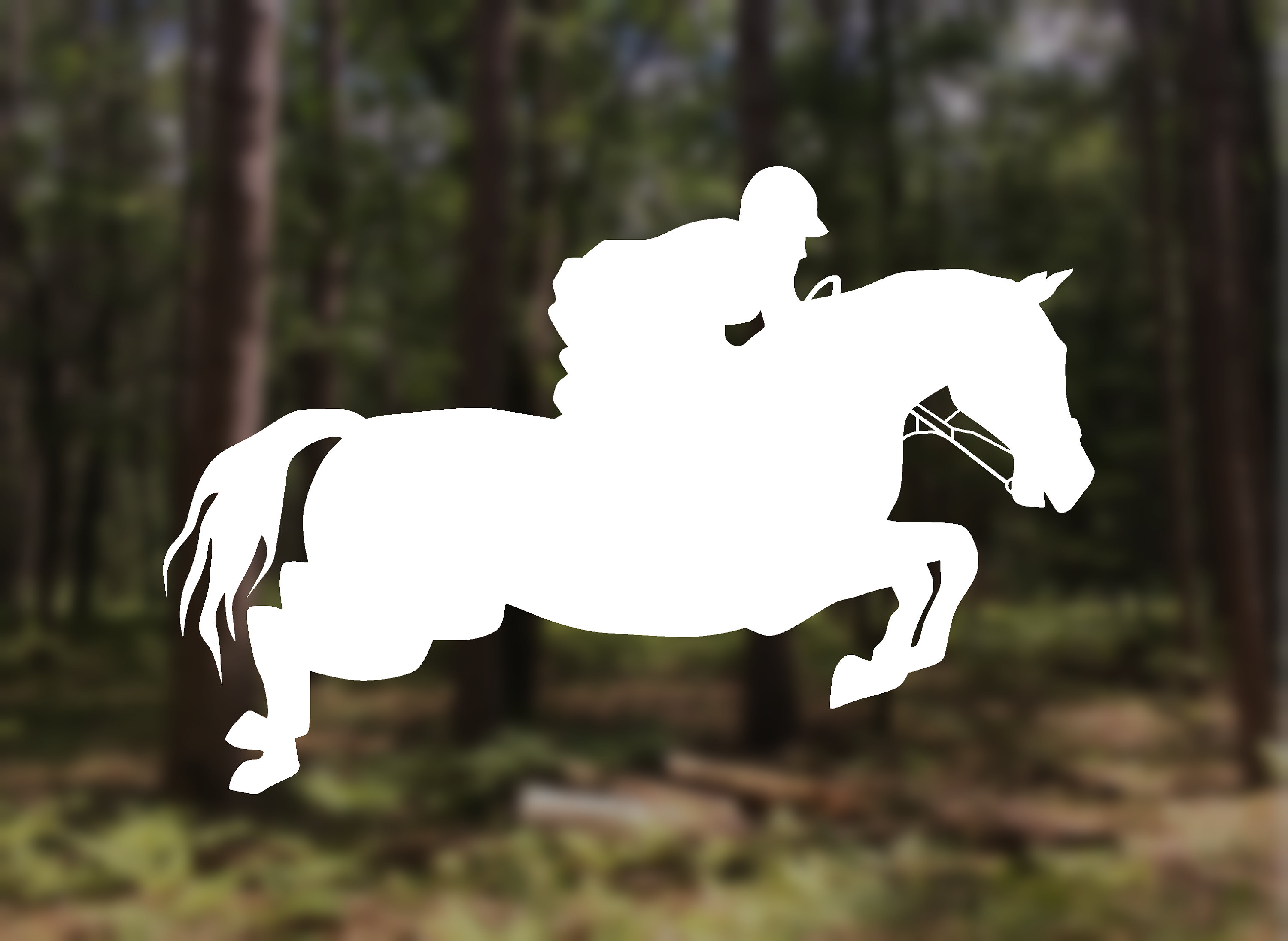 Hunter Jumper Decals