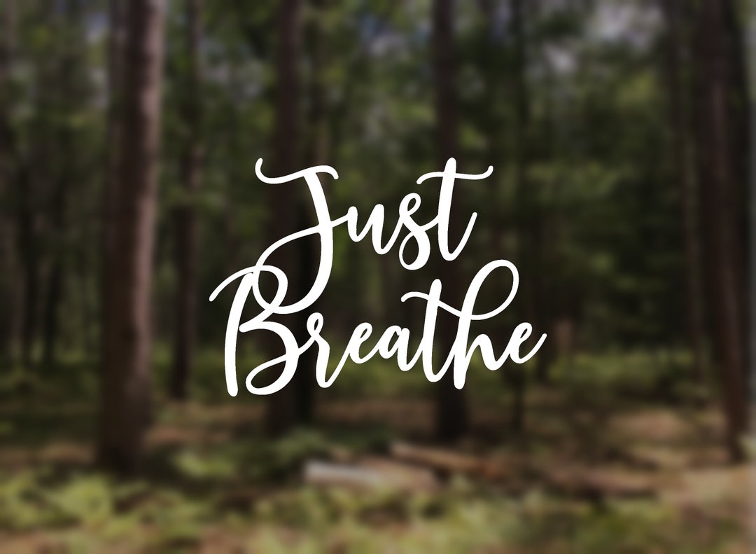 Just Breathe Vinyl Decal or Sticker, Relax Decal, Yoga Decal - Etsy