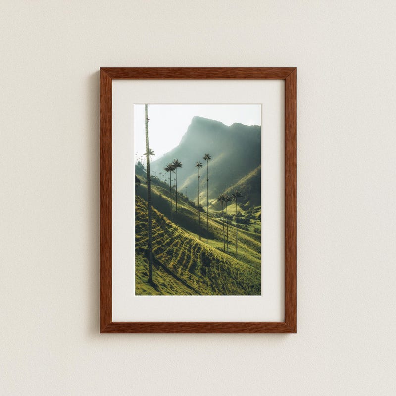 Colombia Palms Tree Poster - Etsy UK