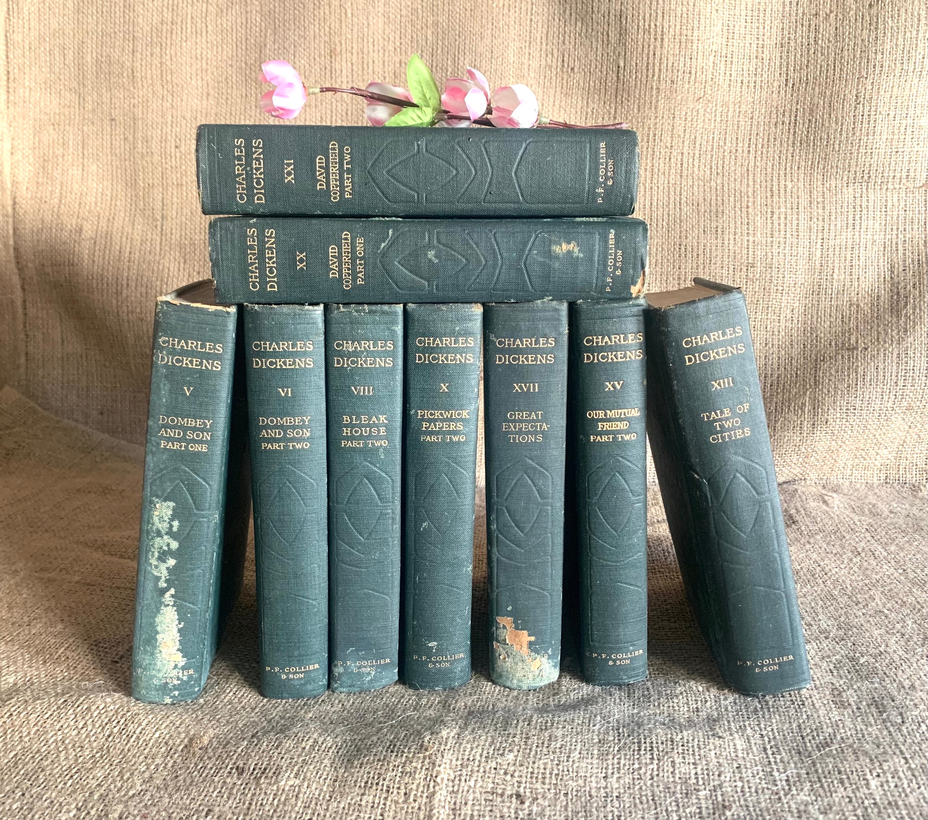 Charles Dickens Classic Hardcover Books Antique Green Decor Books ...