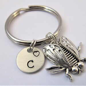 Fly Keychain, Fly Charm, Insect Keychain, Personalized Keychain ...