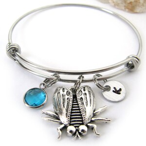 Cute Fly Bracelet, Fly Insect Bracelet, Fly Jewelry, Insect Charm ...