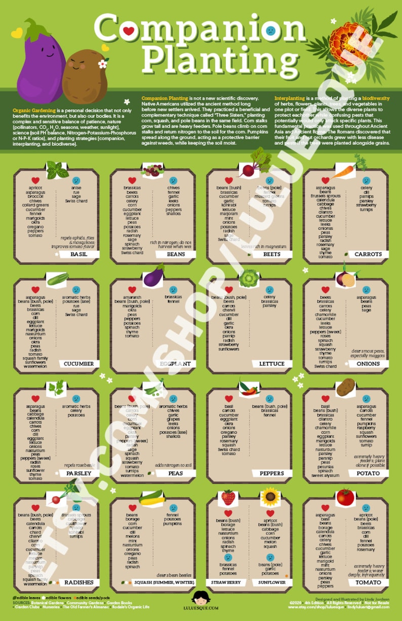 Companion Planting Gardening Guide, 4th Ed. INSTANT DOWNLOAD. - Etsy