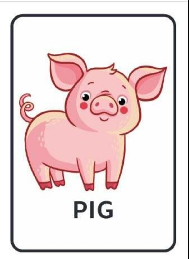 Farm & Zoo Animal Flashcards for Early Learning - 32 Educational Cards ...