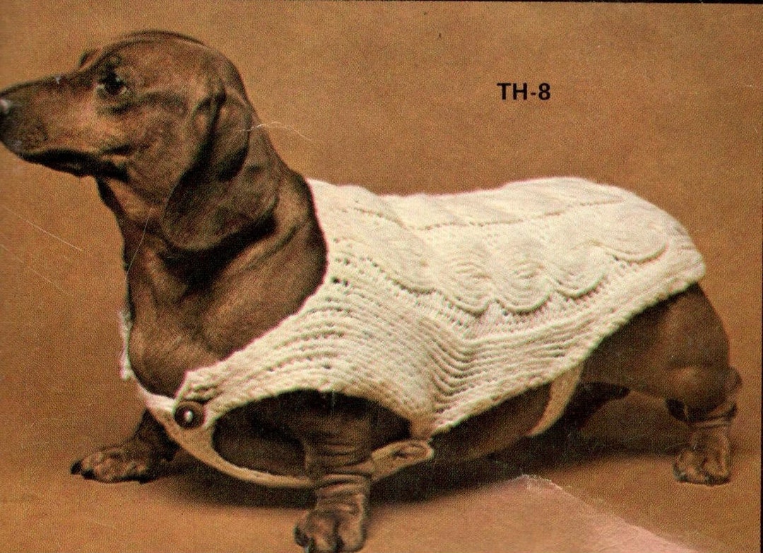 Knitting Pattern Dog Sweater Dachshund Wiener Dog Puppy Small Coat ...
