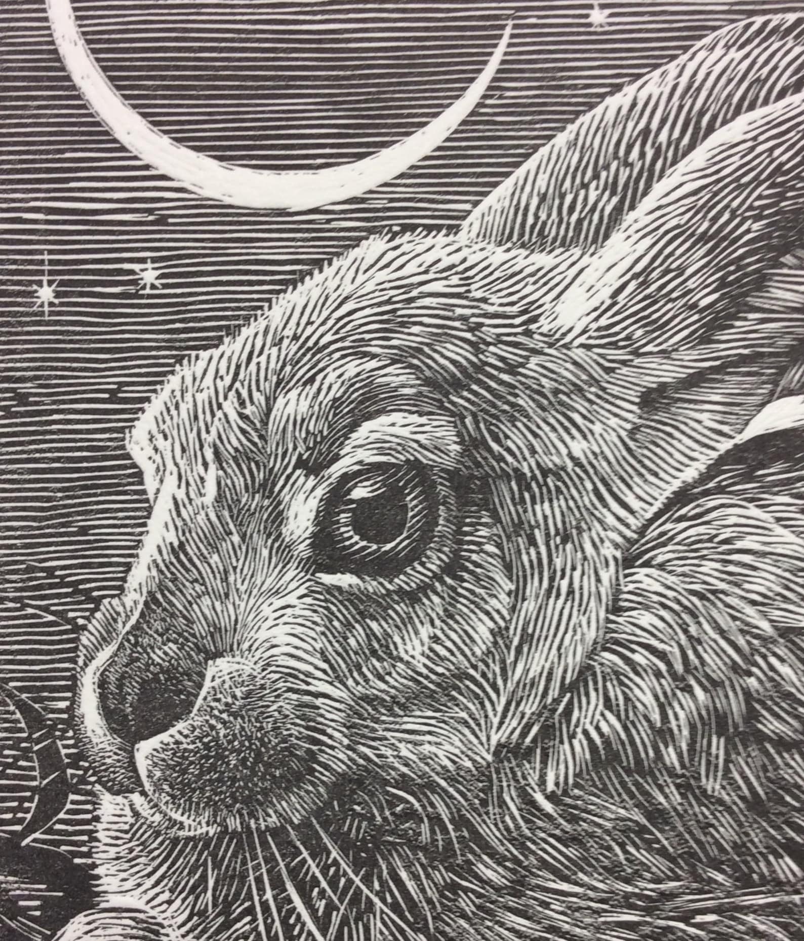 COSMIC RABBIT - Etsy