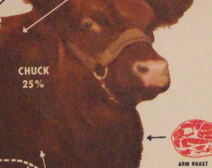 1940-50s National Beef Council Angus Steer Butcher Cuts - Etsy