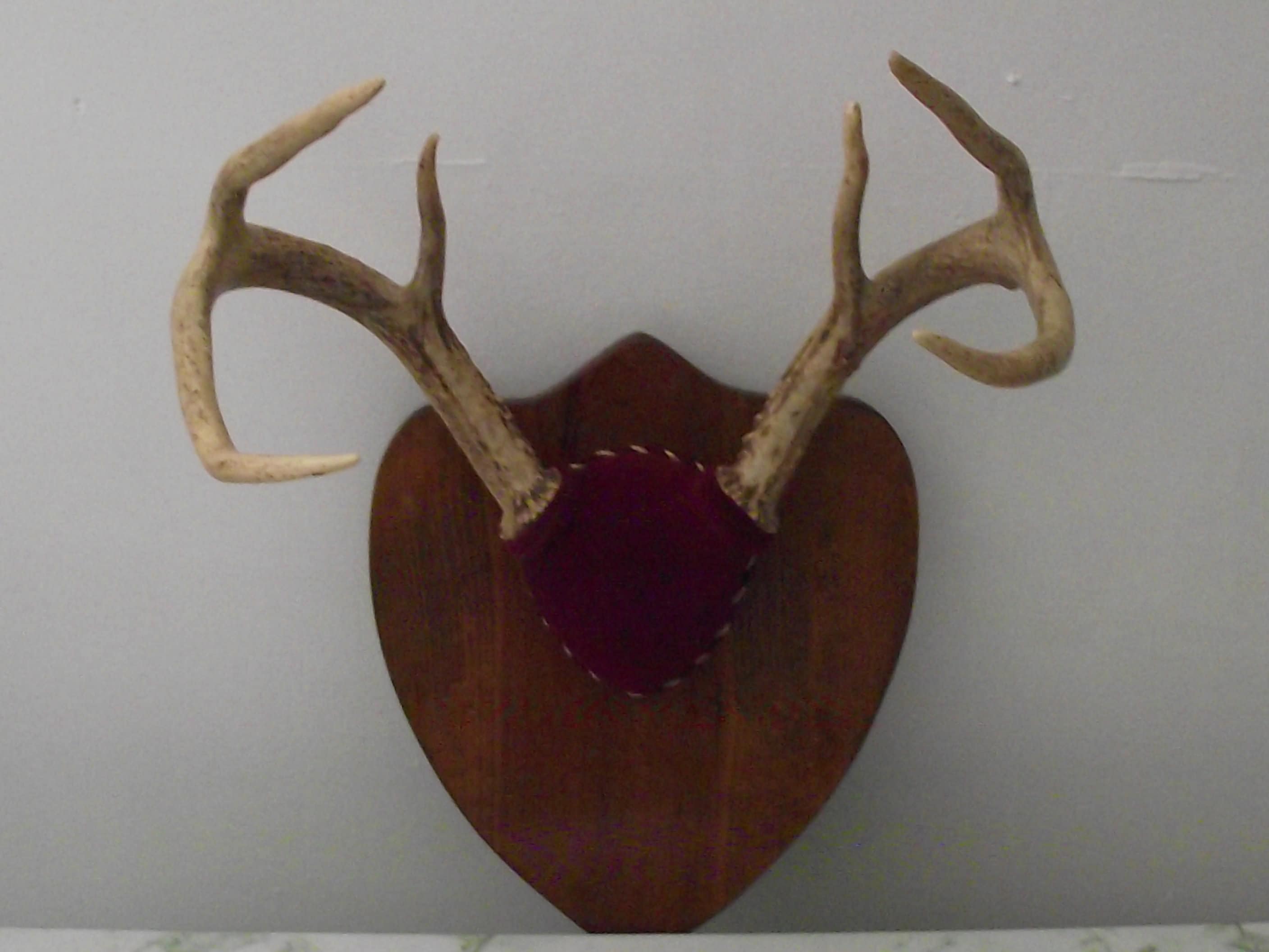 King Antler Antler Mounting Kit