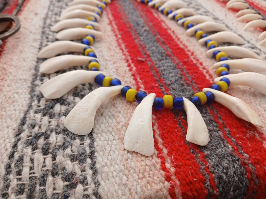 Real Buffalo Tooth and Crow Bead Medicine Necklace - Etsy