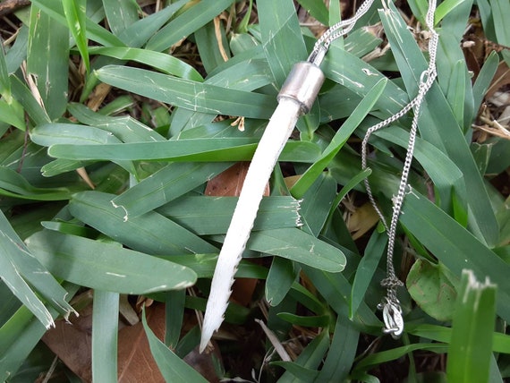 Catfish Barb Bone Necklace - Etsy