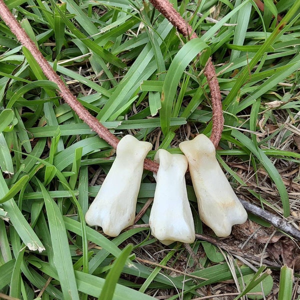 Deer Bone - Etsy