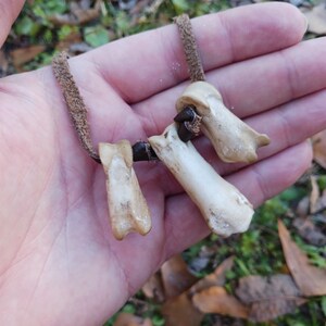 Mountain Man Deer Toe Bone Necklace - Etsy