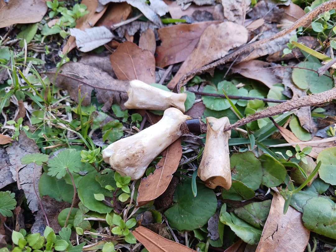 Mountain Man Deer Toe Bone Necklace - Etsy