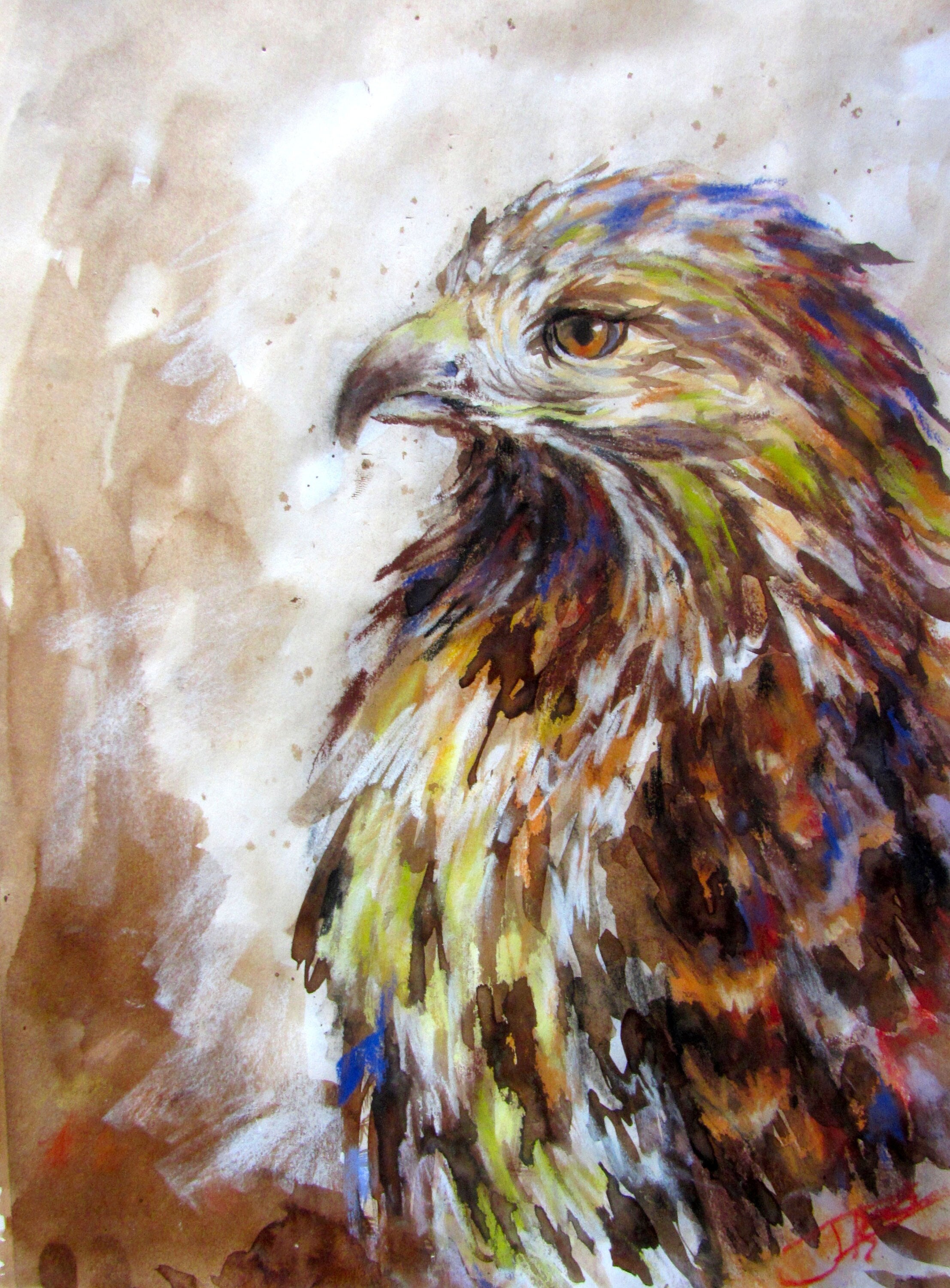 Hawk Painting