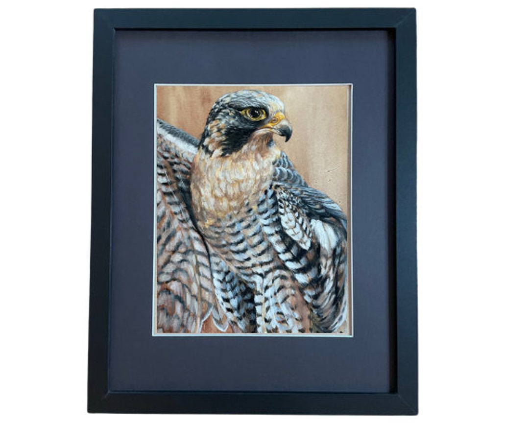 Falcon Paper Print, Falconry Wall Art, Nature Inspired Art Prints - Etsy