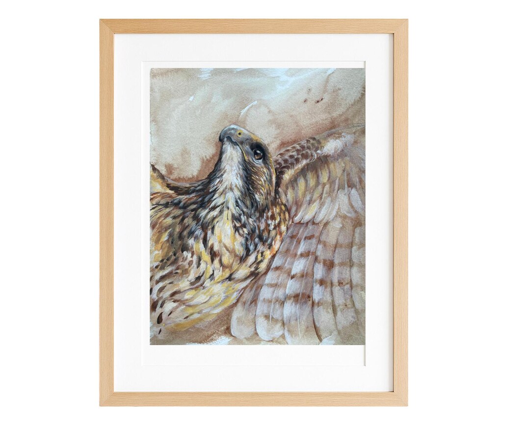 Framed Raptor Painting, Original Kestrel Artwork - Etsy